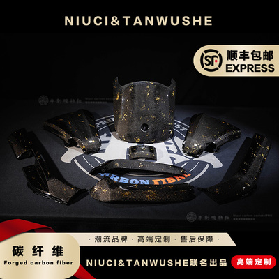 九号电动E系列E300P/E300PMK2斜纹金箔碳纤维外壳原厂