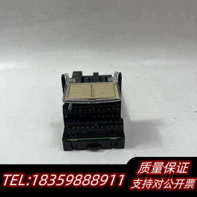 GE   IC200CHS022L议价