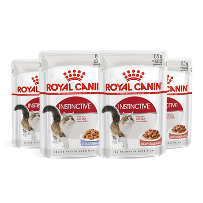 成猫湿粮主食级湿粮浓汤肉块