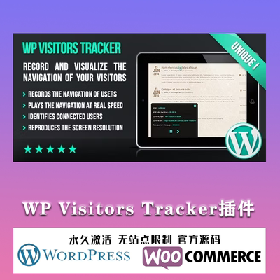 WP Visitors Tracker 访客日志追踪操作网站统计WordPress插件