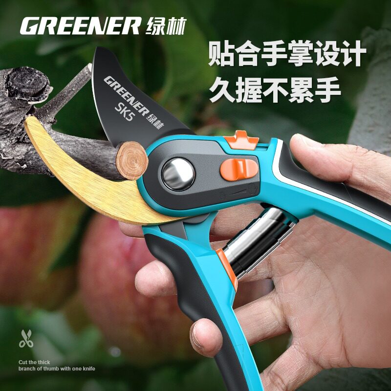 德国技术绿林果树修枝剪园艺剪刀剪树枝 专用花剪花艺园林剪省力