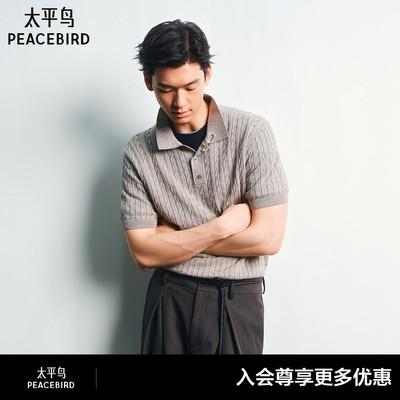 【商场同款】太平鸟男装 静奢绞花2026年秋季新款polo衫B1EEG3145