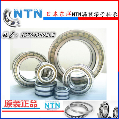 NTN进口SL04-5020/NR 5022 5024 5026 SL/NNF/5026 带止动槽轴承