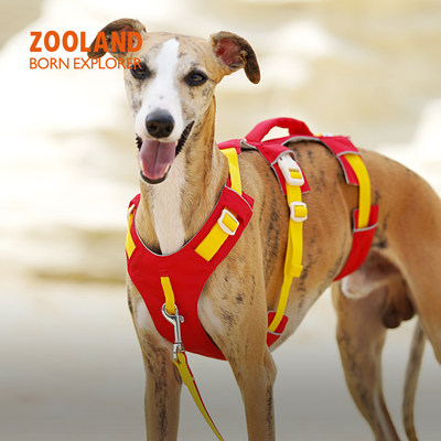 ZOOLAND狗狗牵引绳胸背带透气宠物外出背带可提拉防挣脱爆冲