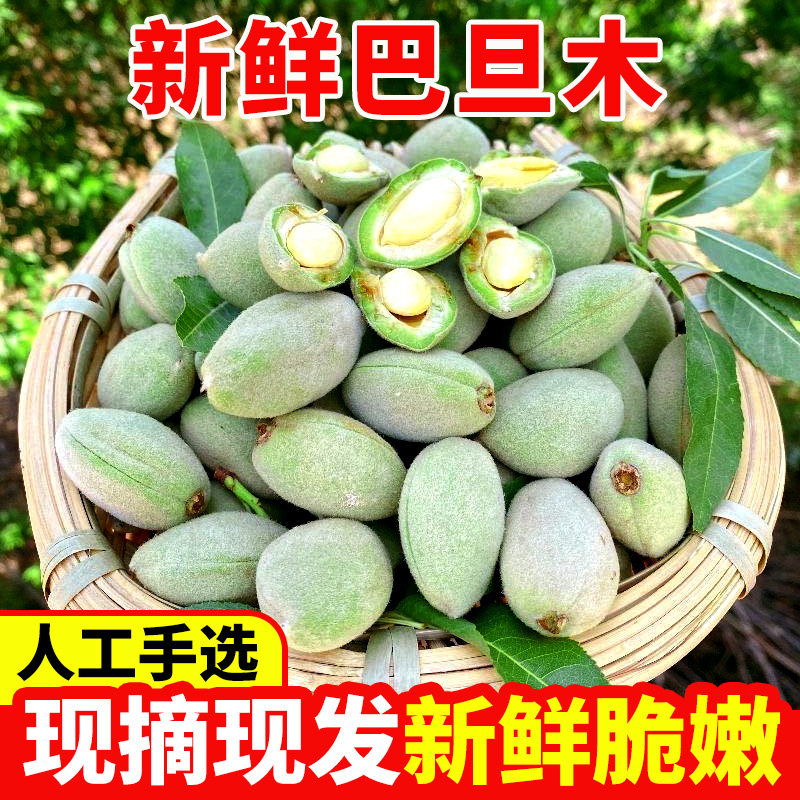 2026新鲜巴旦木当季现摘现发带青皮巴旦木原味坚果桃仁大杏仁包邮