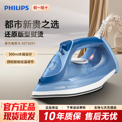 DST3031大功率蒸汽手持电熨斗