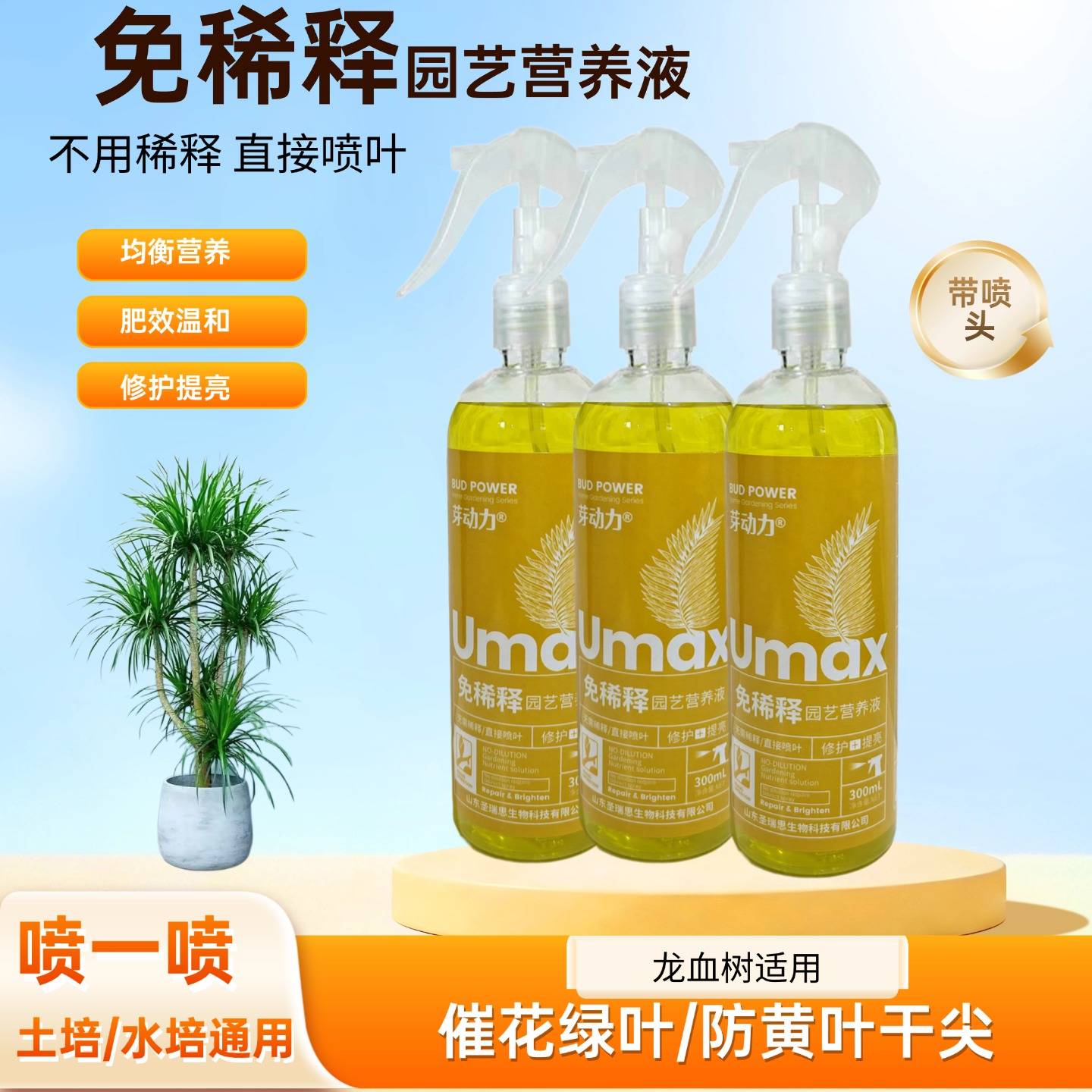 黑珍珠龙血树龙须树免稀释营养液室内盆栽植物专用水溶喷施叶面肥