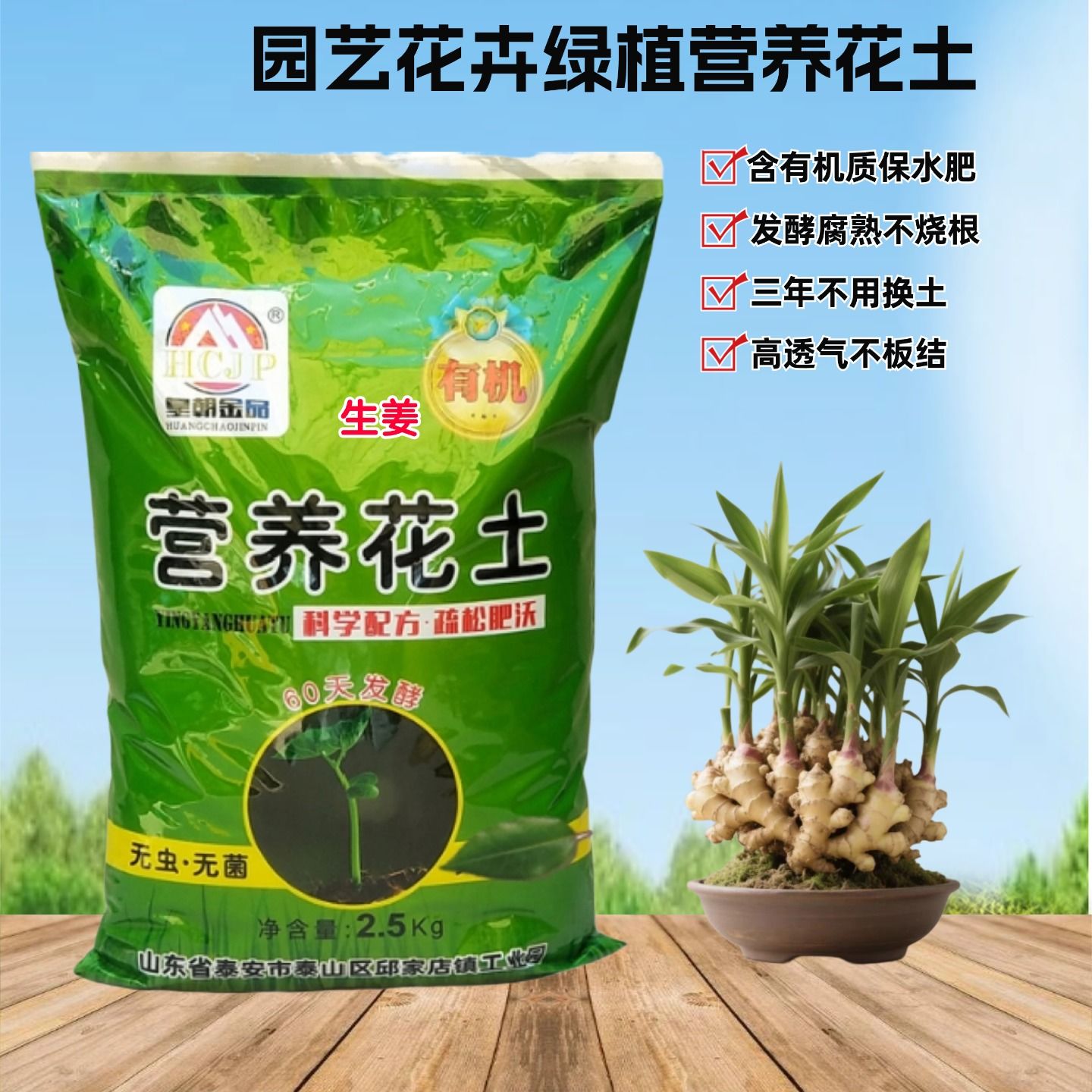 禄根姜一桶姜山生姜营养花土庭院客厅灵草盆栽植物育苗专用种植土