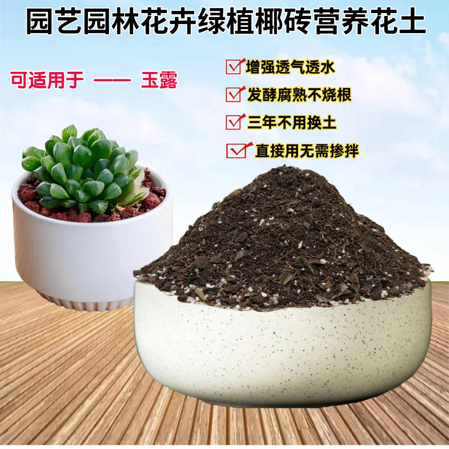 多肉玉露营养椰砖土室内专用白娘子冰灯姬十二卷盆栽植物通用花土