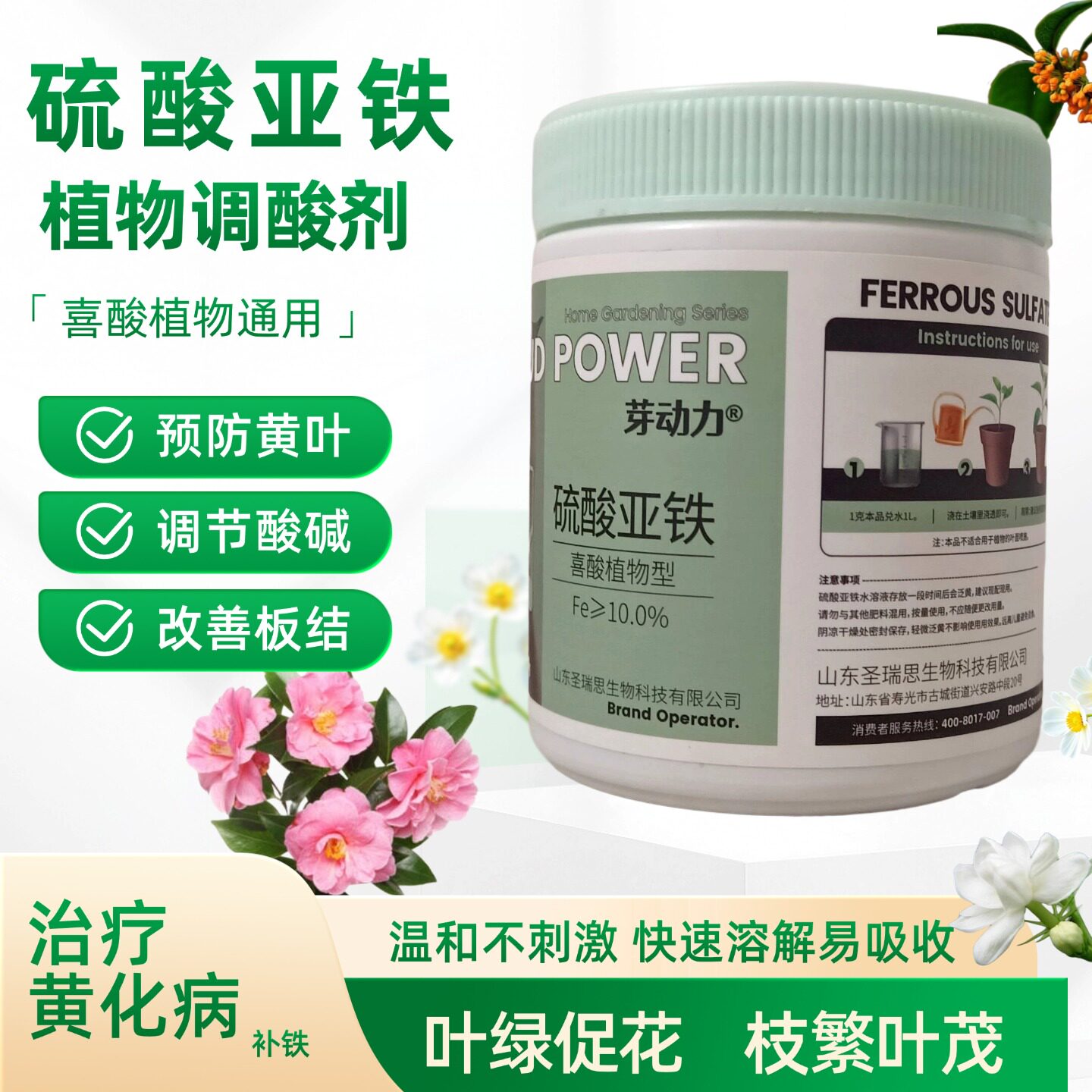 硫酸亚铁通用调酸补铁肥园艺盆栽栀子桂花蓝莓防黄叶水溶花卉肥料
