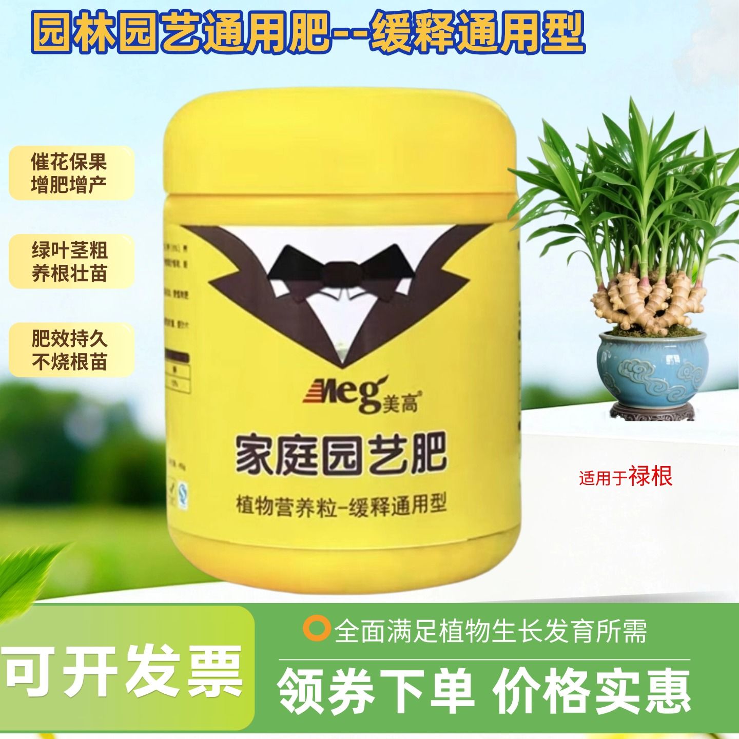 禄根一桶姜山生姜苗缓释肥室内灵草盆栽绿植专用氮磷钾颗粒花肥料
