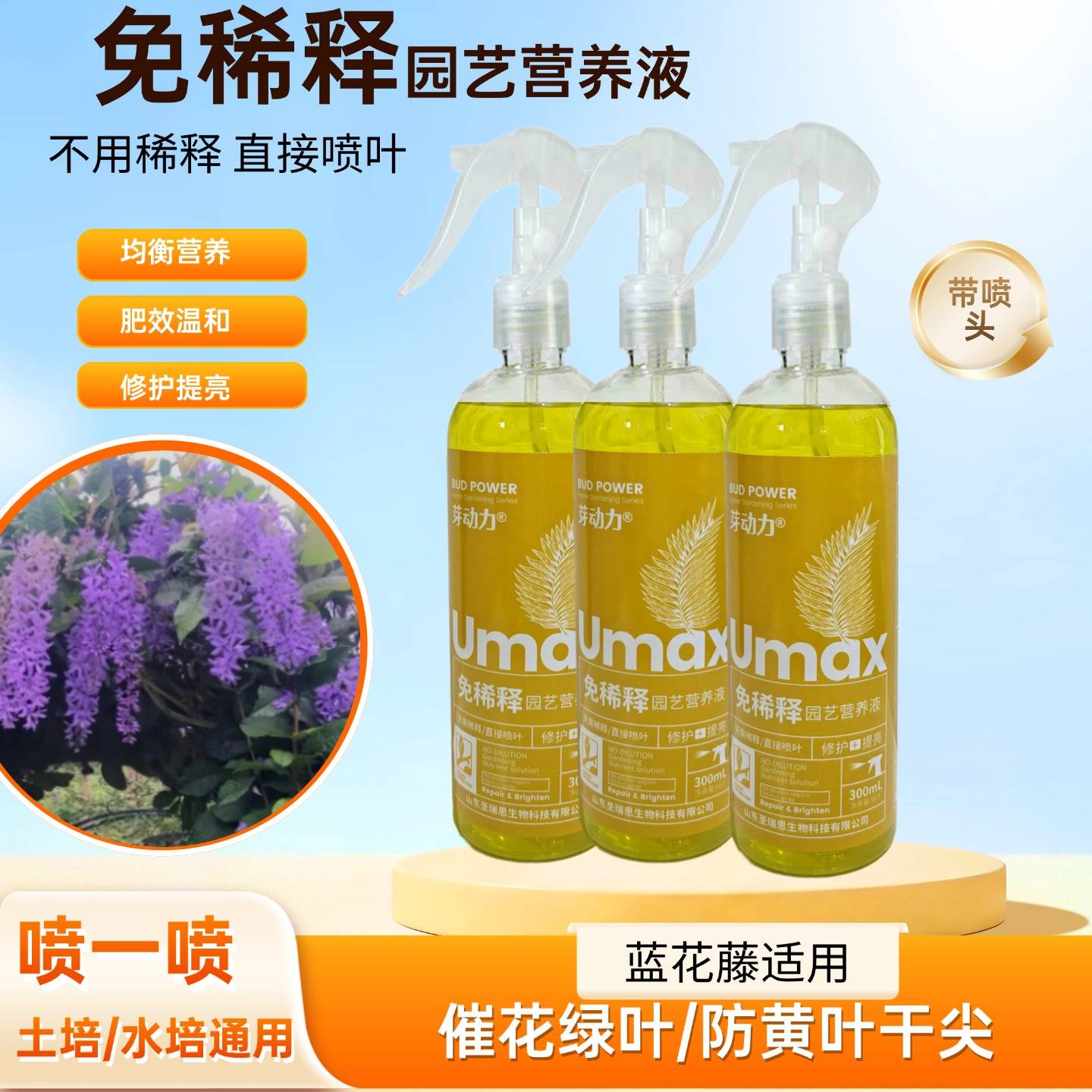 泰国大叶蓝花藤许愿藤免稀释营养液庭院爬藤盆栽植物专用喷叶面肥