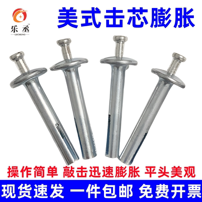 乐丞膨胀螺丝打入式敲击快速钉美式大头爆炸螺栓固定专用内膨胀钉