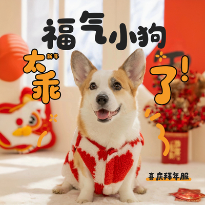 柯基衣服狗狗秋冬季加厚保暖衣西高地绒衣比熊衣宠物短腿新年衣服