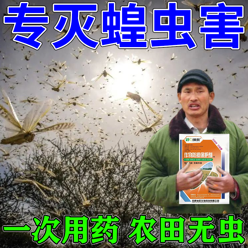 蝗虫专用杀虫药蝗虫蚂蚱全灭杀虫剂虫卵双杀稻田菜地专杀蝗虫农药_虎窝淘