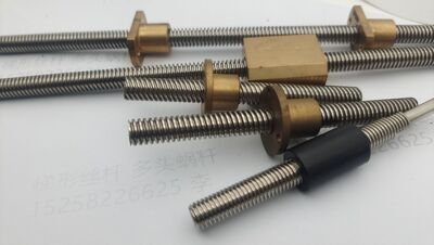 现货精密梯形丝杆T10*2*1头304不锈钢T形 多头螺杆 直径10 配螺母