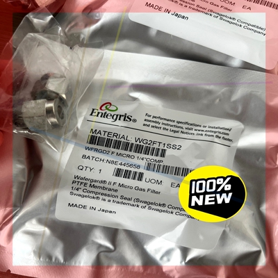 英特格在线气体过滤器WG2FT1SS2