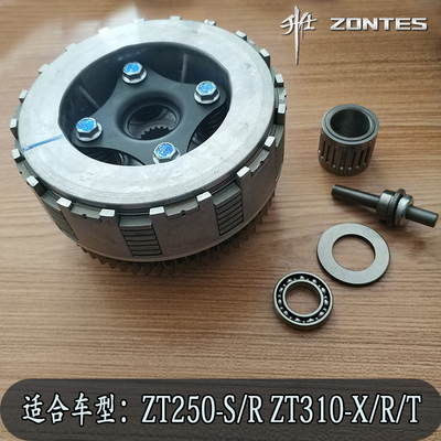 升仕ZONTES幽灵ZT250-SZT310-