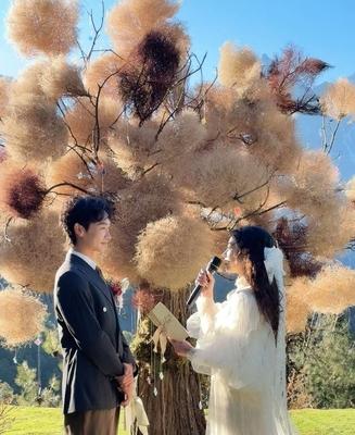 原色毛绒软装装置风滚草花艺婚礼美陈风滚草圆圆的胖乎乎的风滚草