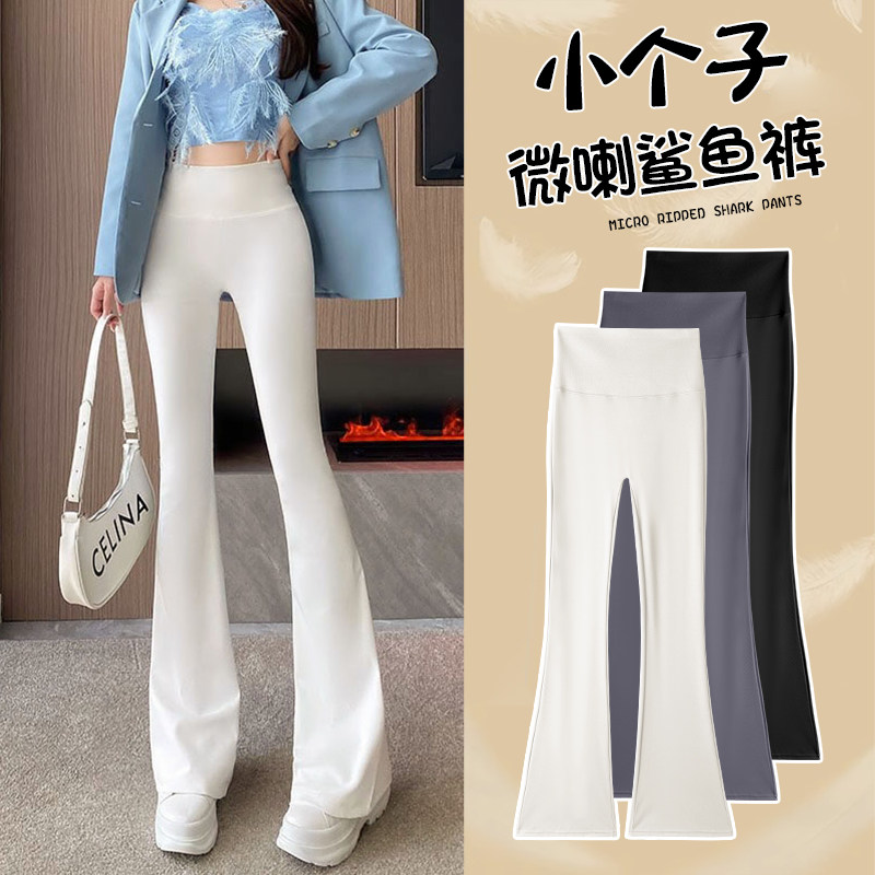 小个子白色微喇鲨鱼裤女外穿夏季薄款高腰紧身收腹提臀瑜伽喇叭裤