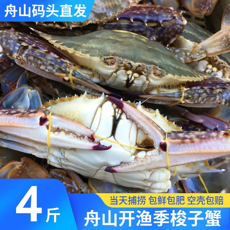 【保鲜不保活】舟山梭子蟹野生活发新鲜海螃蟹大白蟹公飞蟹次日达
