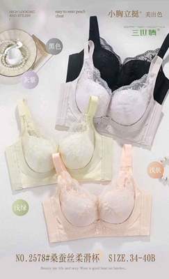 三世情女士内衣小胸聚拢显大调整型收副乳防下垂无磁文胸罩2578