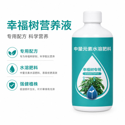 幸福树营养液幸福树专用浓缩水溶肥促进生根壮苗叶片浓绿防止黄叶