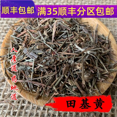 50g田基黄可打粉满包邮