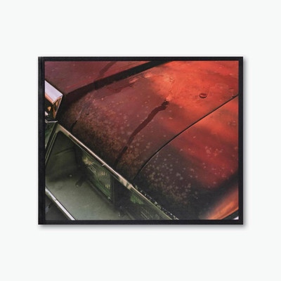 WINDSCREEN挡风玻璃