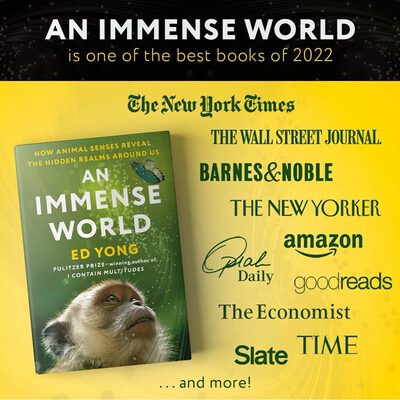 动物的感官如何揭示我们周围隐藏