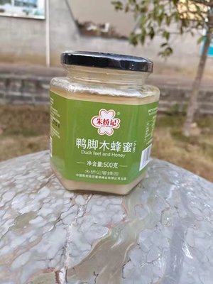 朱桥记广西阳朔鸭脚木蜂蜜