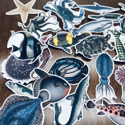 手帐贴纸复古海洋生物手账装饰