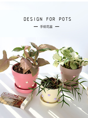 红陶可爱韩系吸水透气有趣