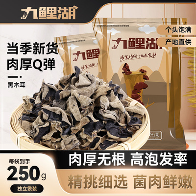 九鲤湖黑木耳无根肉厚