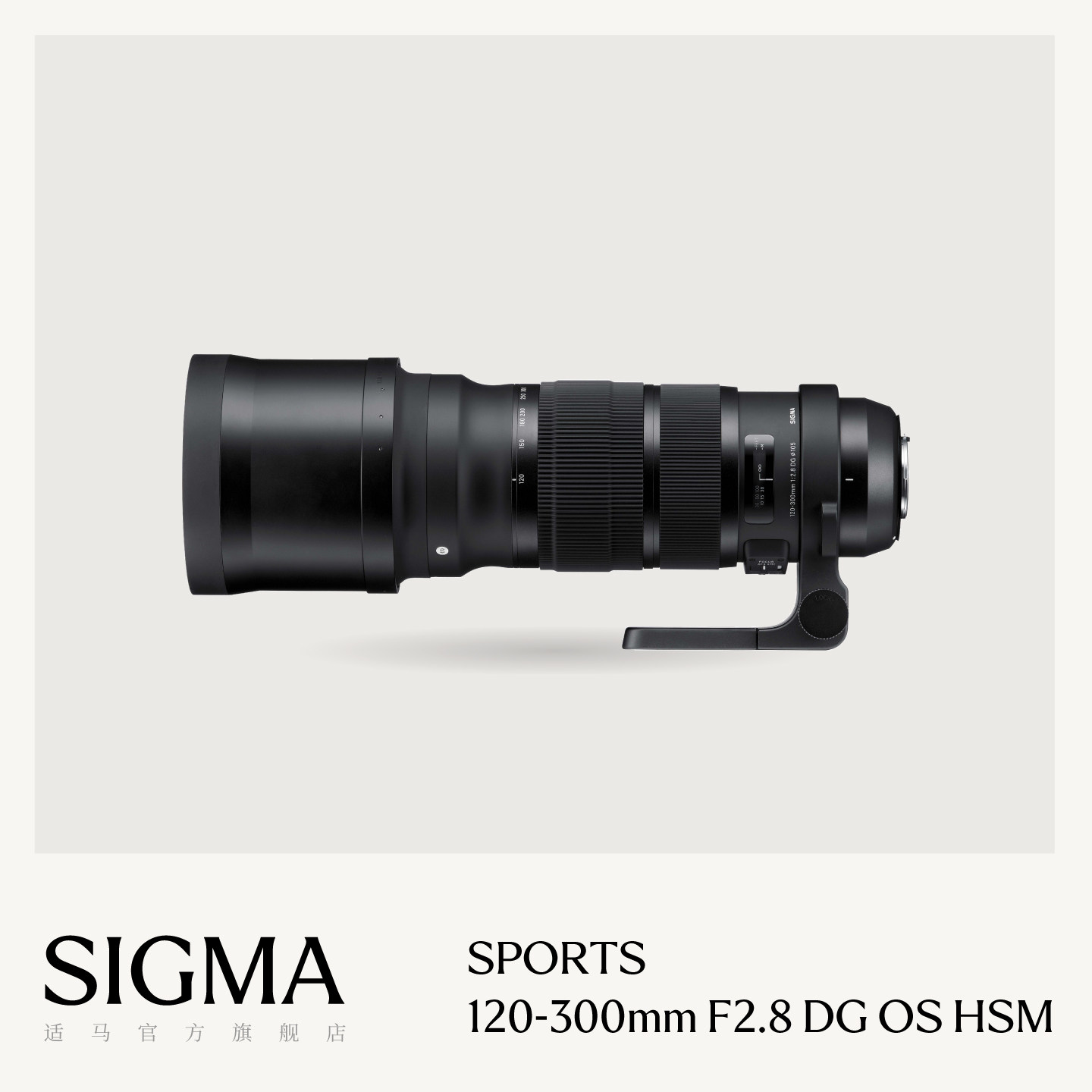 Sigma适马120-300mm F2.8 DG OS HSM长焦恒定大光圈单反远摄镜头