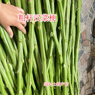 粗汉菜梗自种新鲜汉菜梗绍兴特产 霉苋菜梗 汗菜管  臭豆腐卤原料