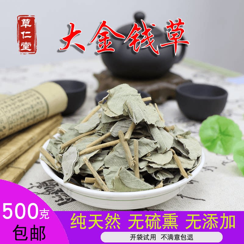 云南野生中药材金钱草 大叶金钱草 广金钱草 过路黄