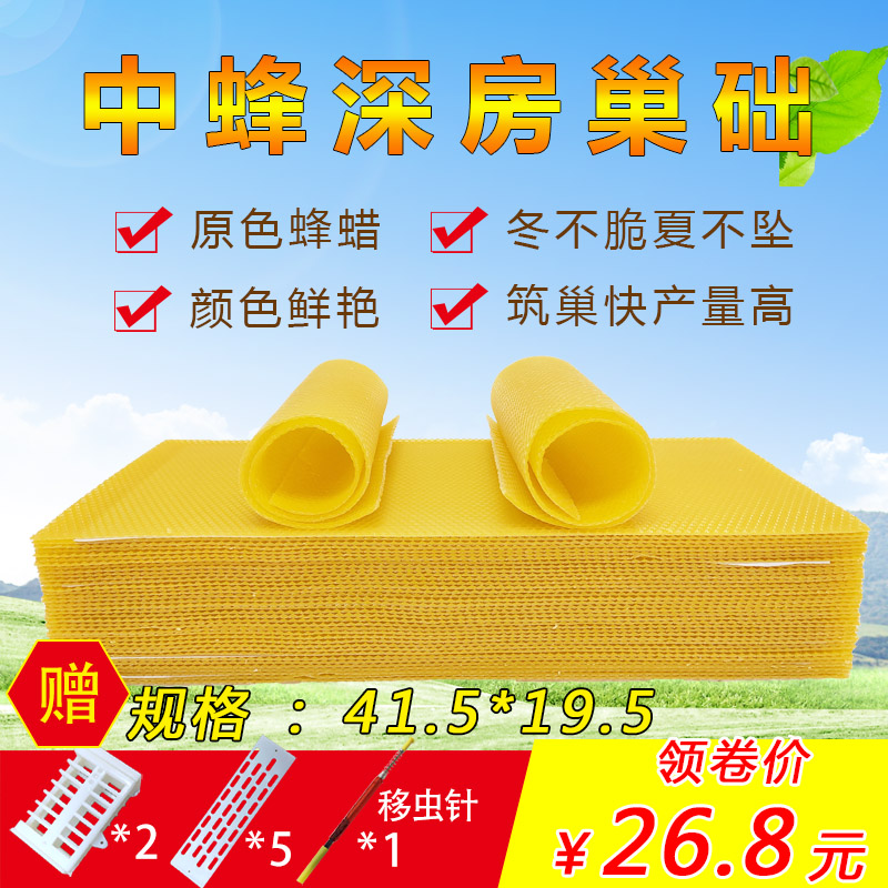 中蜂巢础巢基蜂蜡皮巢脾优质中蜂深房巢础巢皮30片养蜂工具包邮