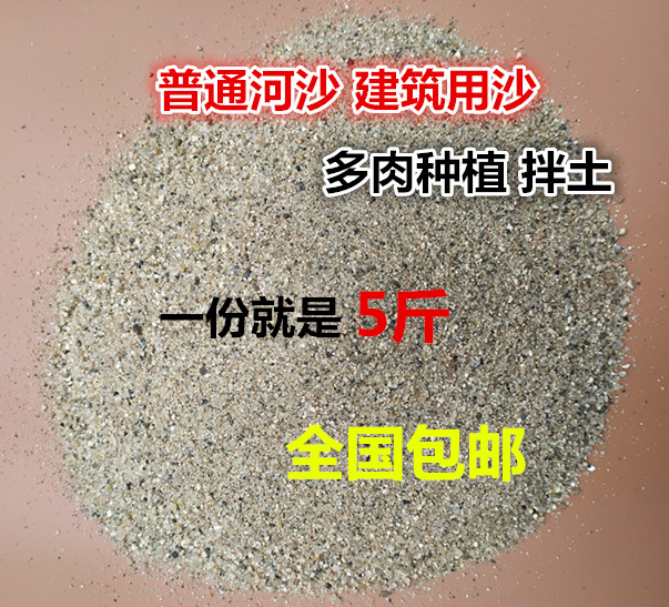 天然河沙水泥沙子干沙子养花粗细沙中沙养花栽种埋生姜沙姜保存放