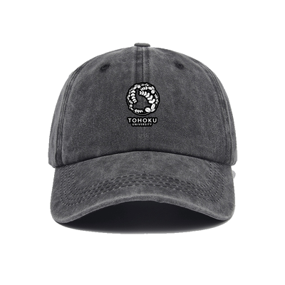 日本东北大学TohokuUniversity