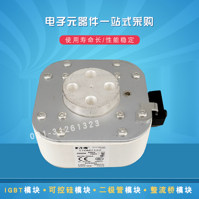 巴斯曼熔断器保险丝170M7123 7124 7125 7126 7138 7139 7140全新