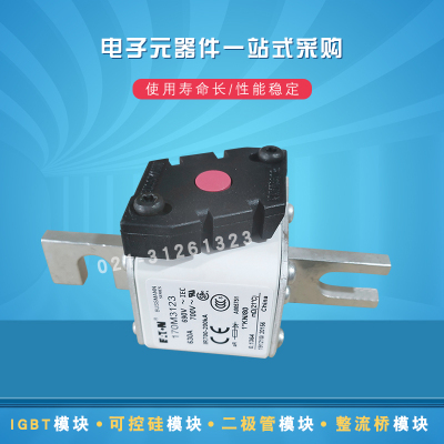Bussmann熔断器保险丝170M3116 3117 3118 3119 3120 3121 3122