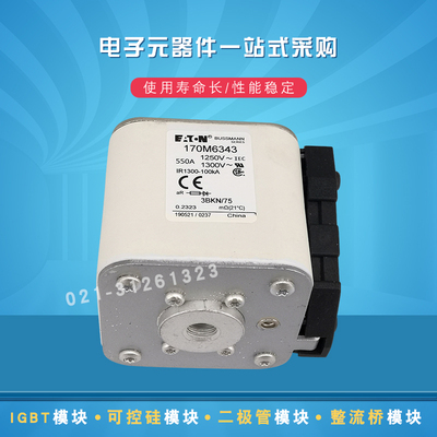 170M6365 6366 6367 6368 6376 6393 6399 6408快速熔断器保险丝