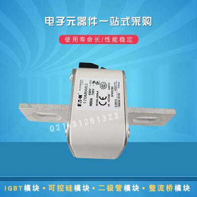 快速熔断器保险丝170M6651 6652 6653 6659 6660 6661 6662 6663