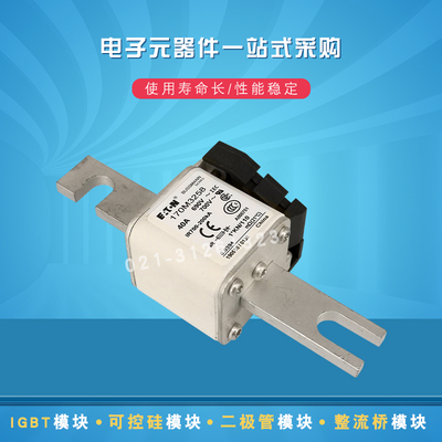 Bussmann熔断器保险丝170M3245 3246 3247 3248 3258 3259 3260