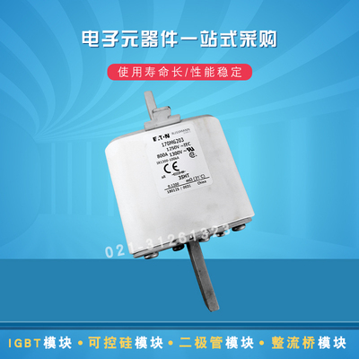 170M6194 6195 6196 6197 6198 6199 6200 6202 6201巴斯曼熔断器