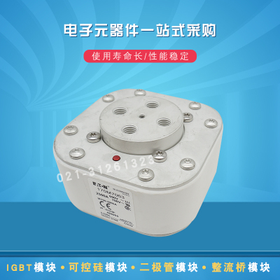 快速熔断器保险丝170M7098 7099 7100 7101 7102 7103 7104 7105