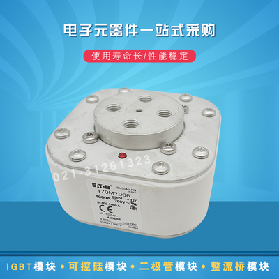 全新巴斯曼熔断器170M7063 7064 7065 7066 7069 7078 7079 7080