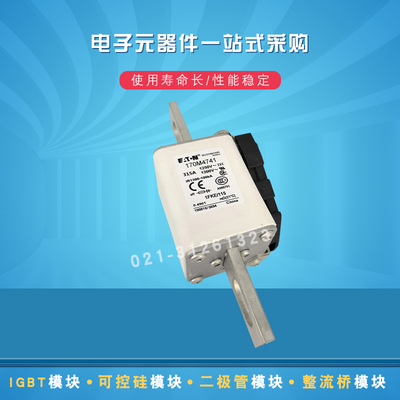 巴斯曼快速熔断器170M4742 4743 4744 4745 4746 4747 4758 4759