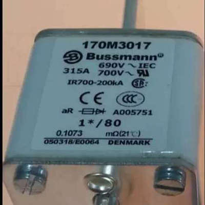 Bussmann熔断器170M4973/4974/4988/4989/5966/5967/5981/5982